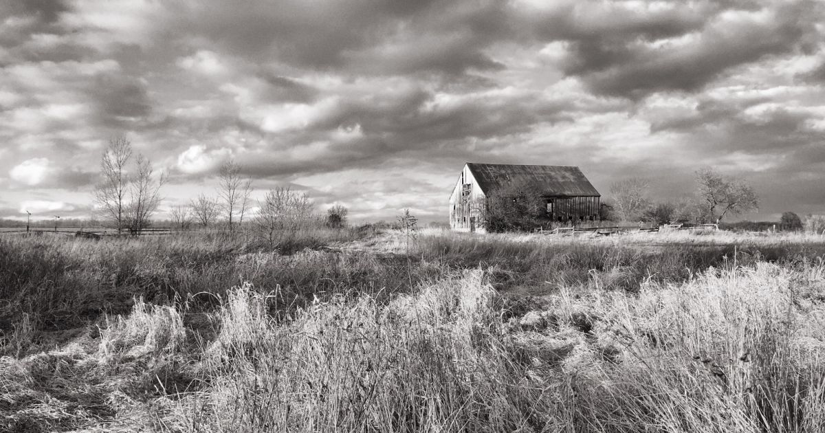 Lower Dean River Lodge - Style Guide