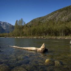 Lower Dean River Lodge - Galleries