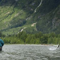 Lower Dean River Lodge - Galleries